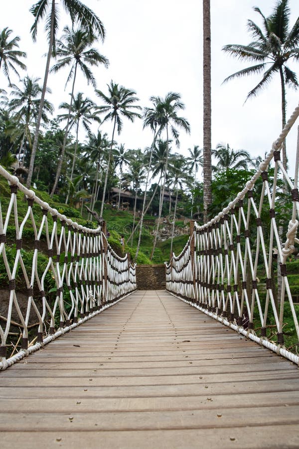 Suspension Bridge, Central Inside View Stock Image - Image of ...