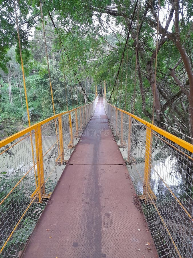 Suspension Bridge Connecting Rural Areas Stock Photo - Image of ...