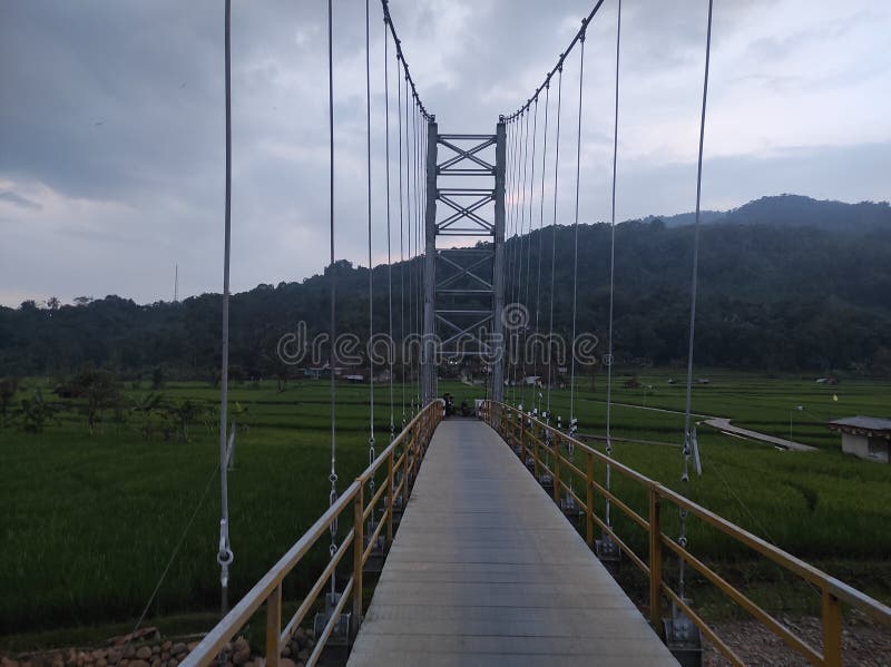 A Suspension Bridge that Connects the 2 Villages through Green Rice ...