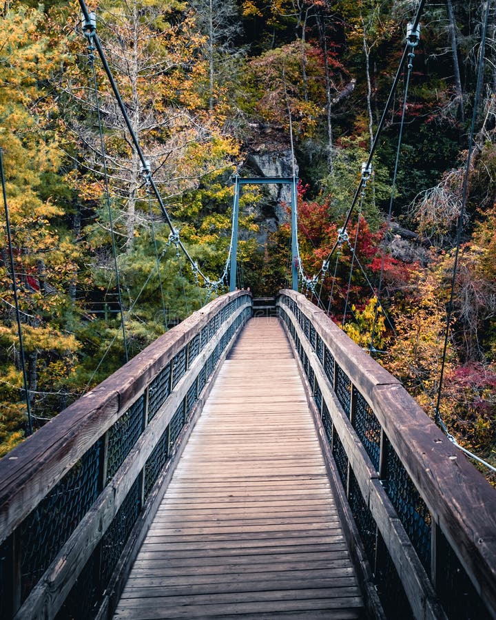 Fall Colors Suspension Bridge Stock Image - Image of travel, cross ...