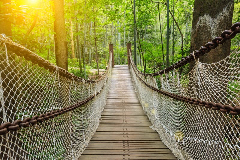 Suspension Bridge in the Forest Stock Photo - Image of nature, china ...