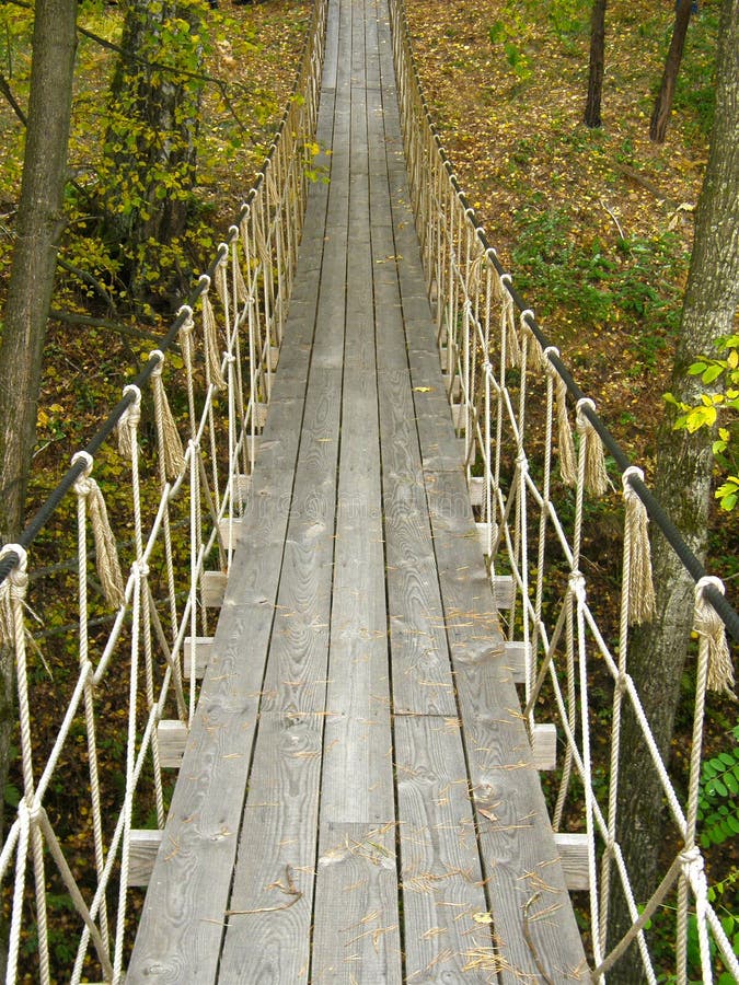 Suspension Bridge in the Forest Stock Image - Image of suspension ...