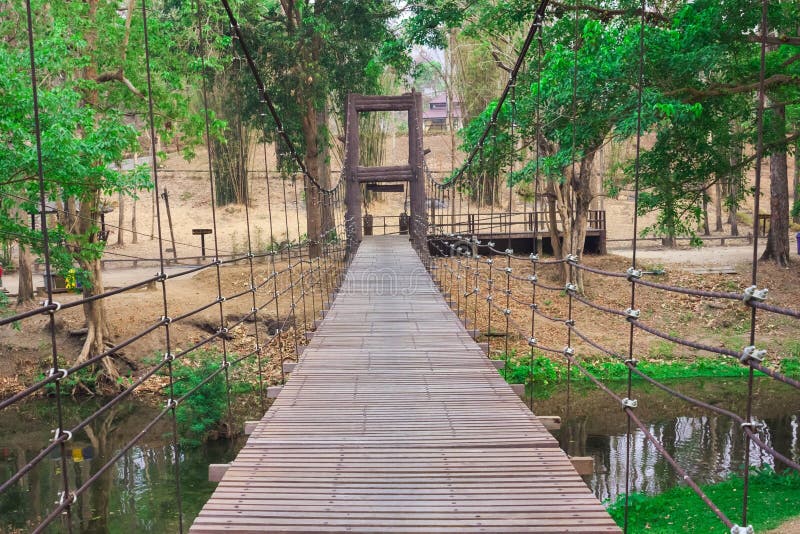 Suspension Bridge of Iron Chain and Woods in Forest Stock Image - Image ...