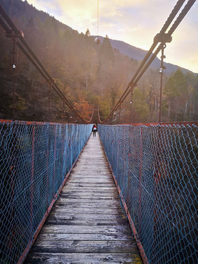 Suspension Bridge in Italy Dolomites Stock Photo - Image of italy ...