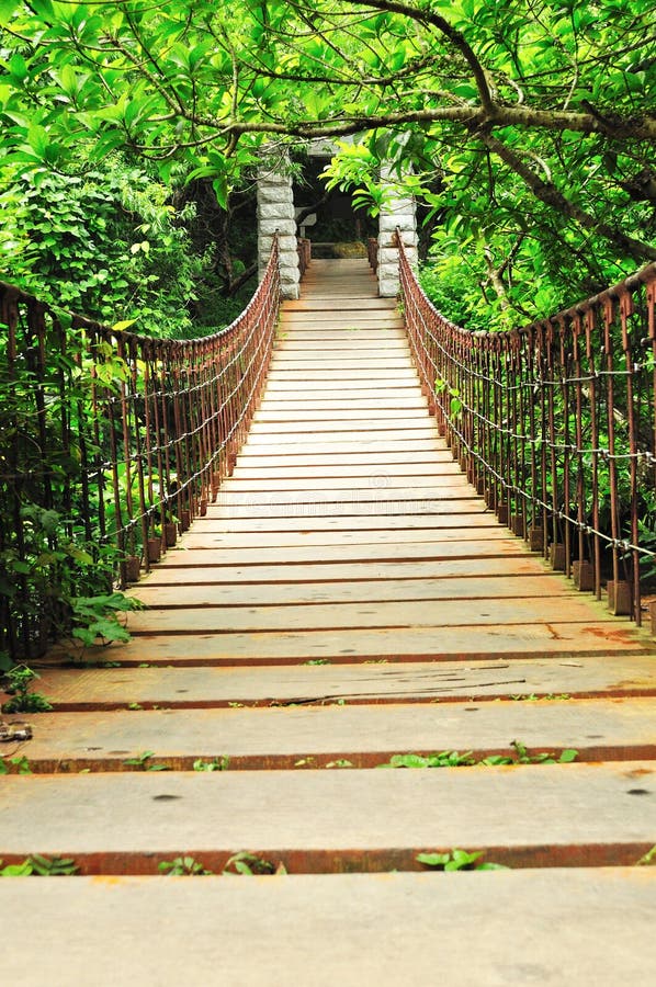 Suspension Bridge in Jungle Stock Photo - Image of empty, landscape ...