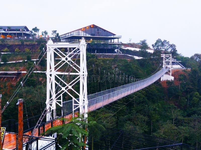 Suspension Bridge in the Nice Funtastic Park Which is Very Beautiful ...