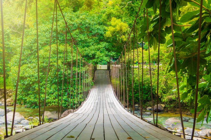 Suspension Bridge Over the Canal To Nature Stock Photo - Image of bone ...