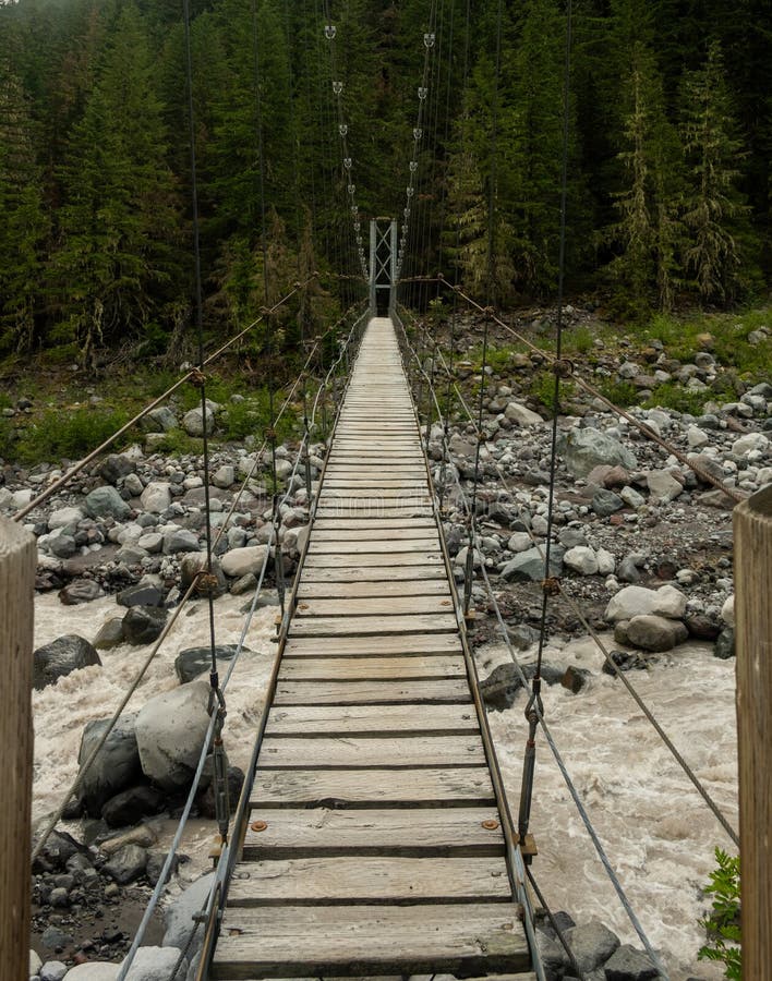 Suspension Bridge Over Carbon River in Mount Rainier Stock Image ...