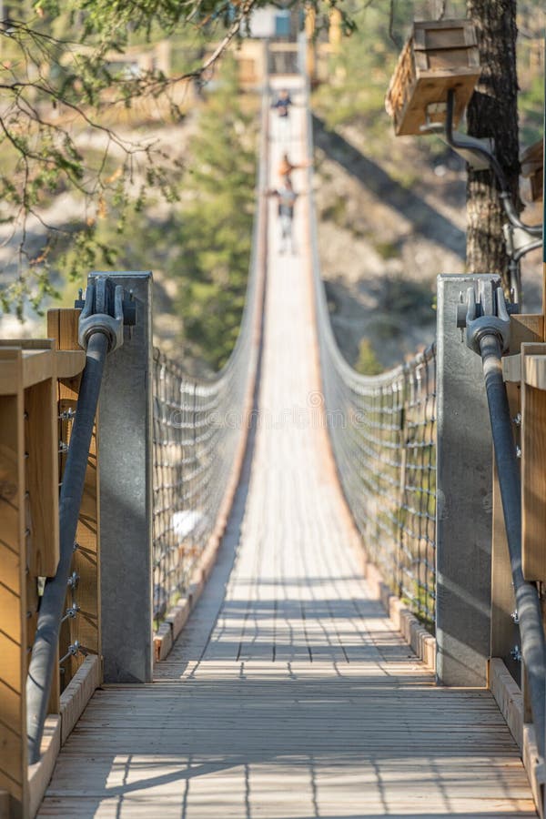 Suspension Bridge Over a Ravine in a Park Stock Image - Image of ...