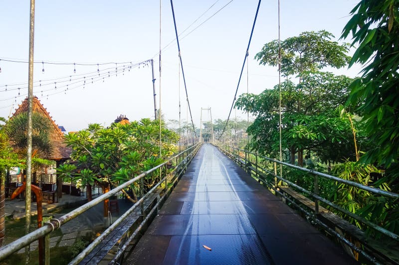 Suspension Bridge Over the River with Tree on the Side. Stock Photo ...