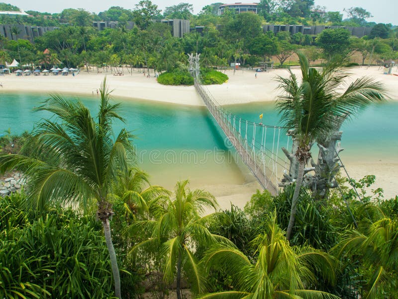 Suspension Bridge in Palawan Beach Stock Image - Image of crossover ...