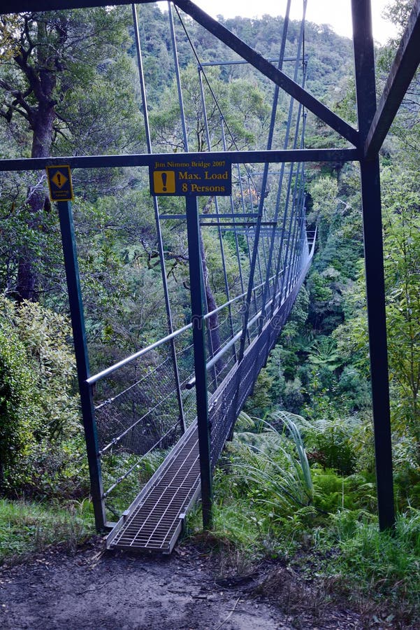 Suspension Bridge in the Rain Forest Stock Image - Image of forest ...