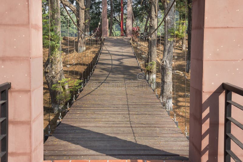 Suspension Bridge, Rope Bridge in Forest Stock Image - Image of ...