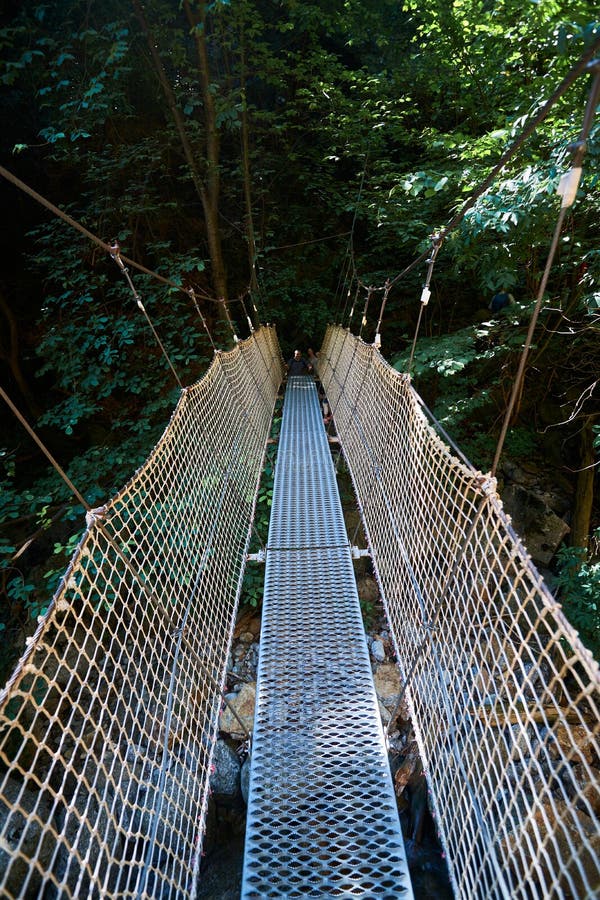 Suspension Bridge with Ropes Crossing a River Stock Image - Image of ...