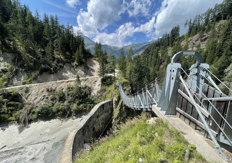 Suspension Bridge between the Trees in the Alps Mountains in Kals am ...