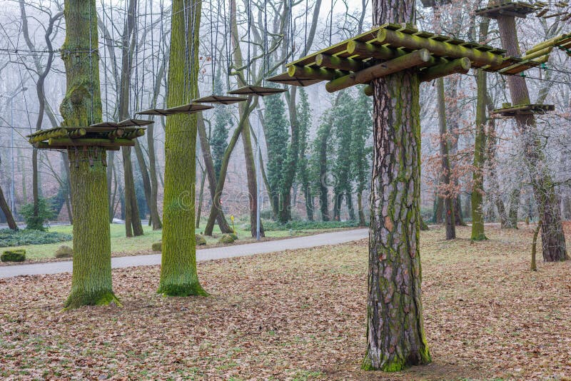Suspension Bridge between Two Tree Trunks in a Rope Park. Wooden ...