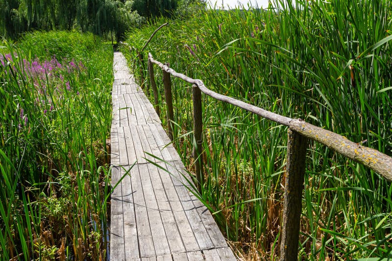 Suspension Bridge, Walkway To the Adventurous, Cross To the Other Side ...