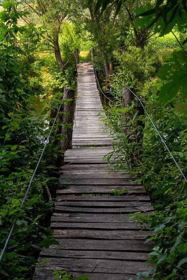 Suspension Bridge, Walkway To the Adventurous, Cross To the Other Side ...