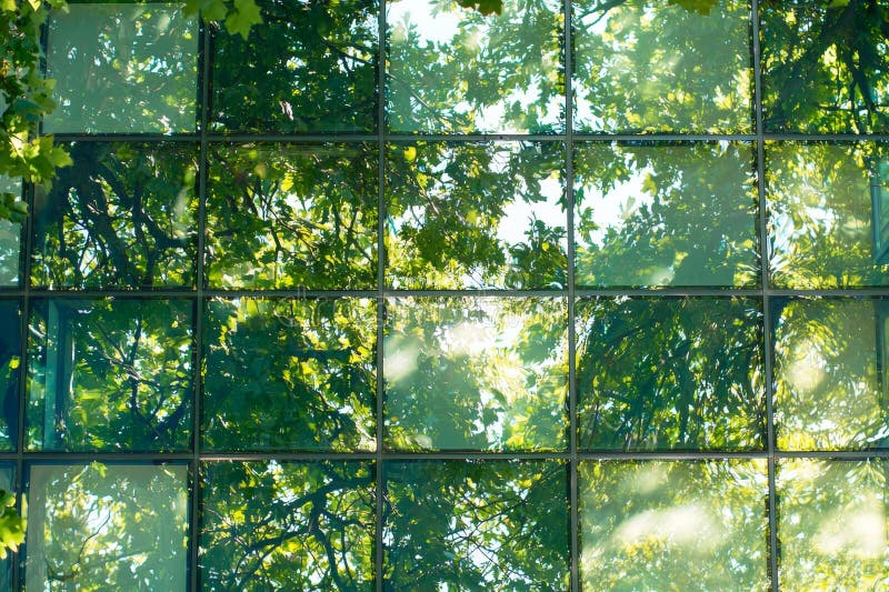 Sustainable Architecture Concept Image with Green Glass Building and ...