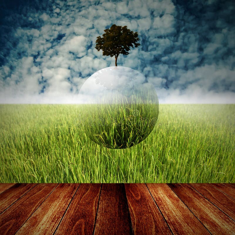 Sustainable Concept, Globe of Tree Flying Over Deck Stock Image - Image ...