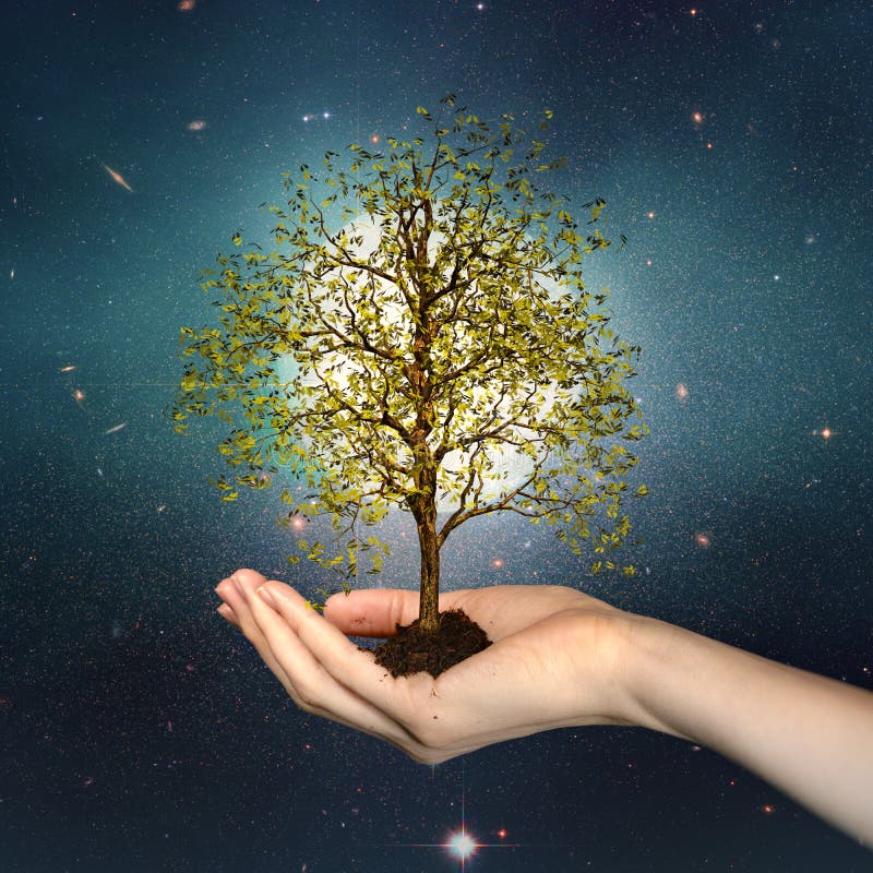 Sustainable Development, Abstract Environmentsl Backgrounds Stock Photo ...