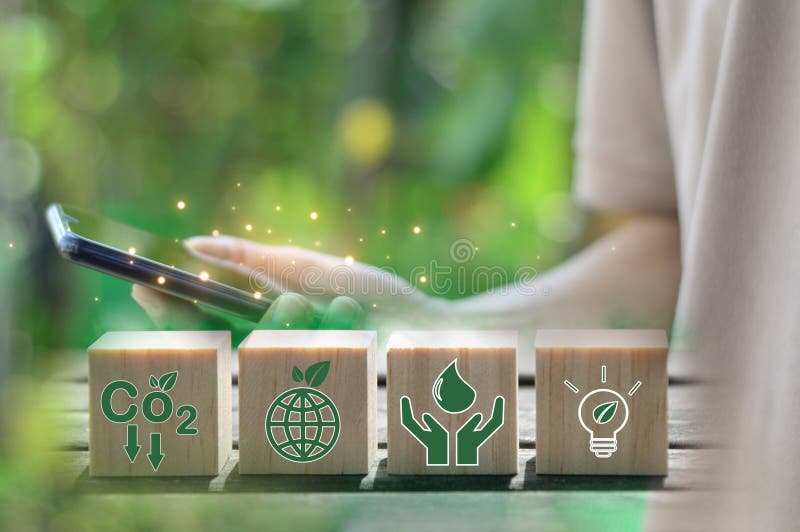 Sustainable Development and Business Operations Based on Renewable ...