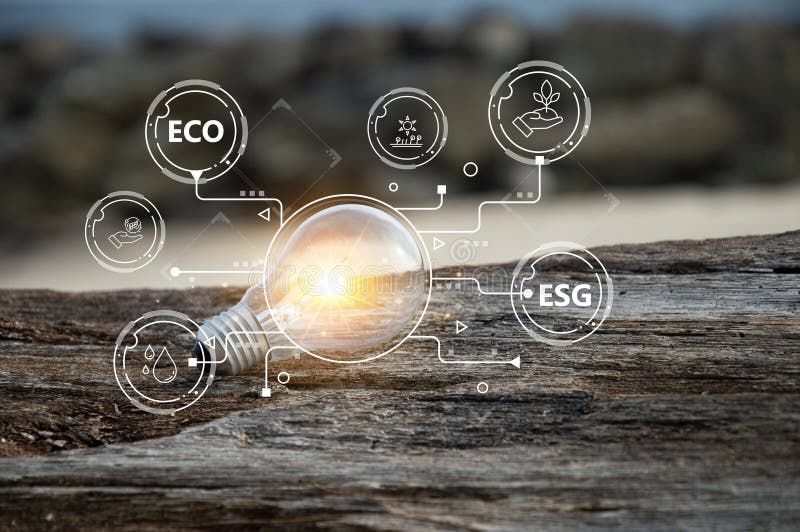 Sustainable Development and Business Operations Based on Renewable ...