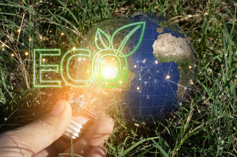 Sustainable Development and Business Operations Based on Renewable ...