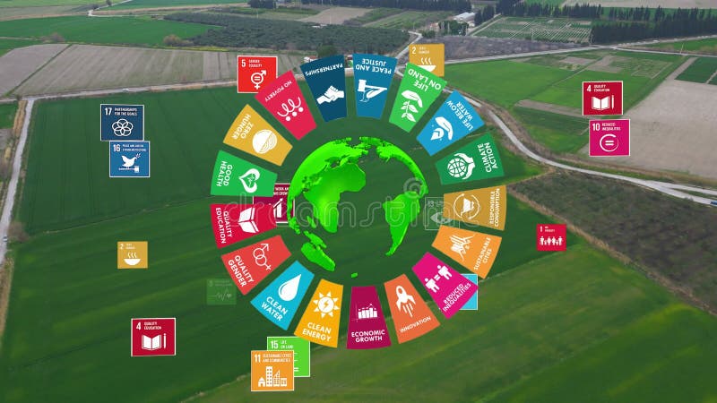 Sustainable Development Climate Action I Motion Graphic Animation 17 ...