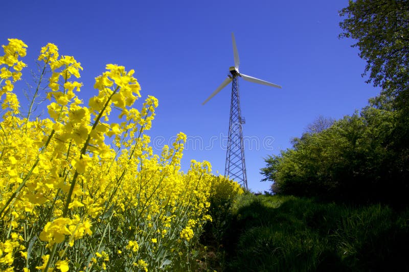 Sustainable Energy Land Wind Beautiful Colors Stock Photos - Free ...
