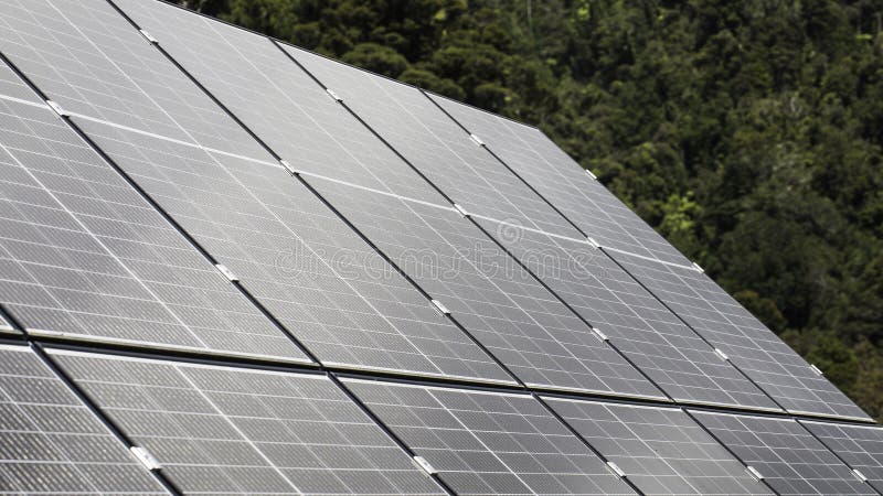 Sustainable Energy Solution with Solar Panels in Nature Setting. Eco ...