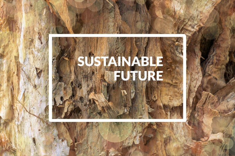 Sustainable Future Poster Design with Old Tree Bark Texture Stock Image ...