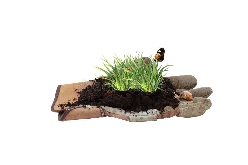 Sustainable Nature Land with Insects and Snail- Stock Image - Image of ...