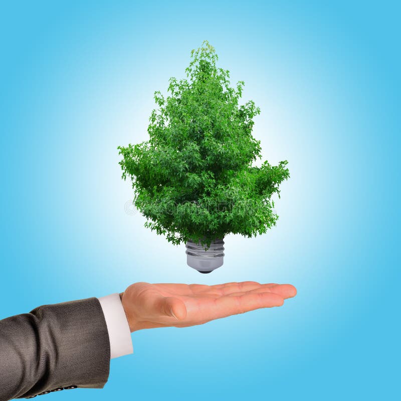 Sustainable Resources, Renewable Energy Stock Photo - Image of growth ...