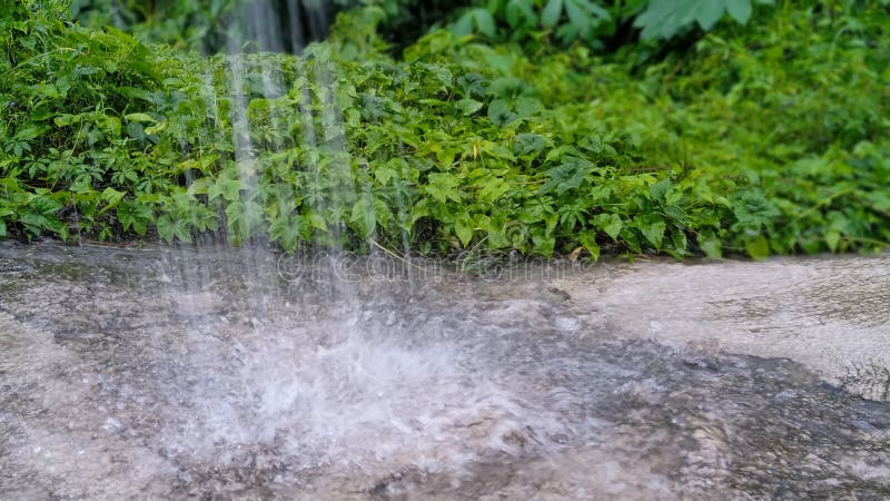 The Sustenance that is Given is Like Rainwater that Soaks the Earth ...