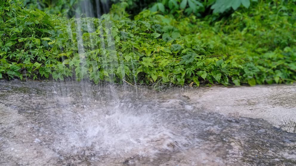 The Sustenance that is Given is Like Rainwater that Soaks the Earth ...