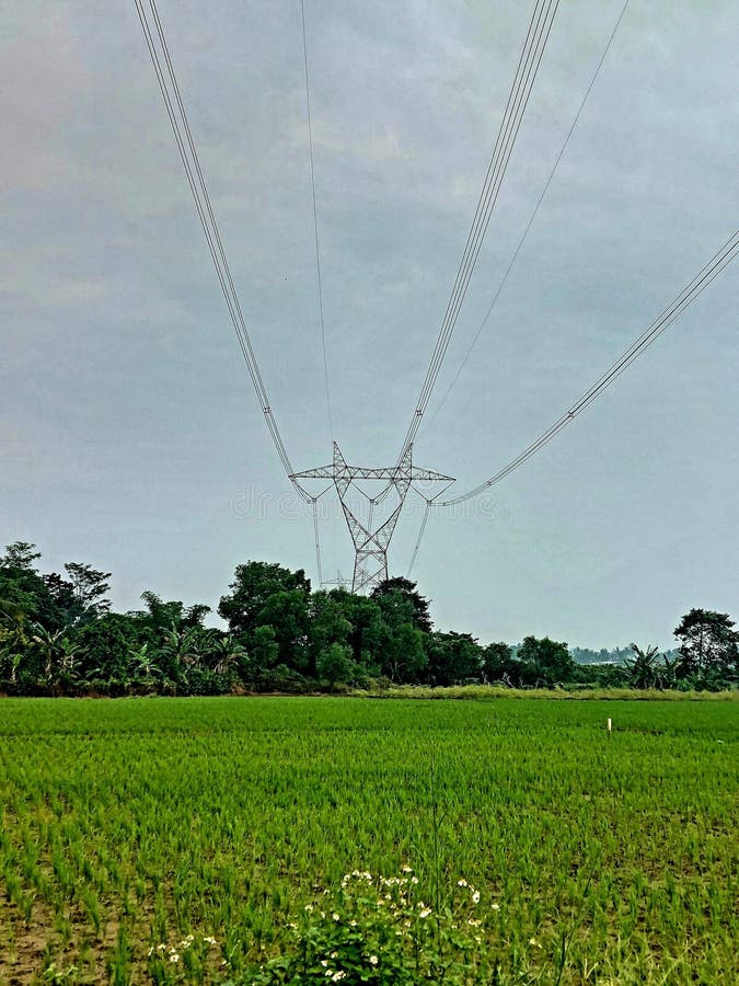 Sutet Tower that Divides the Rice Fields Stock Image - Image of rice ...