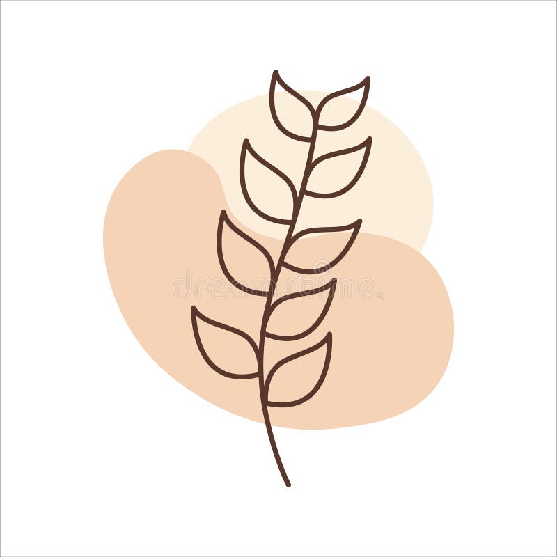 Boho Flowers stock vector. Illustration of brown, cartoon - 268255932