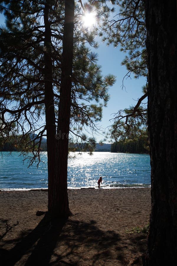 Suttle Lake stock image. Image of afternoon, timber, nature - 3087881