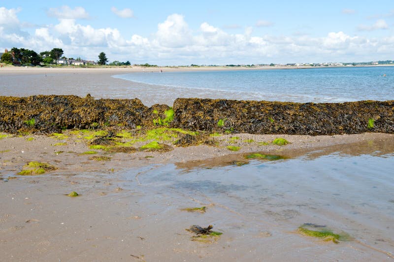 Sutton beach stock photo. Image of howth, idyllic, green - 42330368
