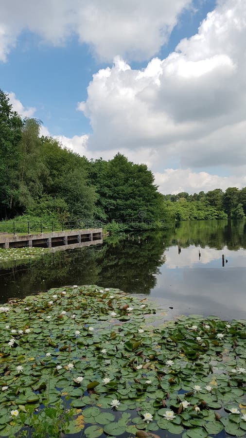 Sutton Colfield Park stock photo. Image of cloud, river - 92059348