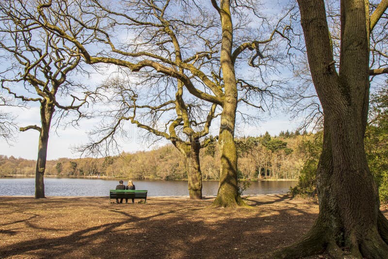 Sutton Park, West Midlands, England - Beautiful View in the Park, April ...