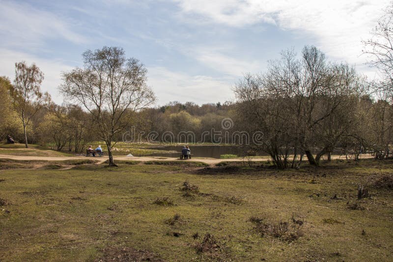 Sutton Park, West Midlands, England - Beautiful View in the Park, April ...