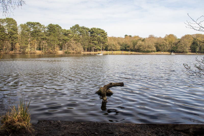 Sutton Park, West Midlands, England - Beautiful View Over the Park ...