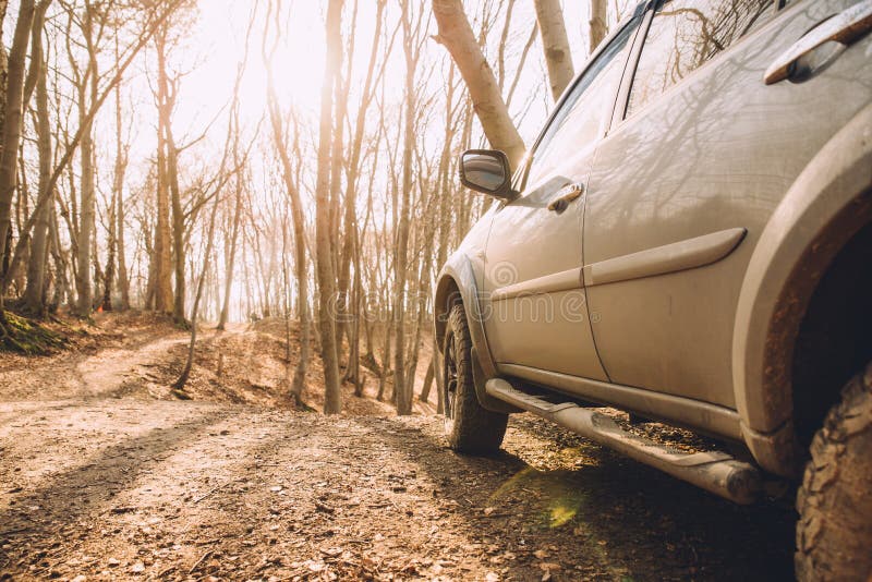 Suv car in forest off road stock photo. Image of woods - 181077736