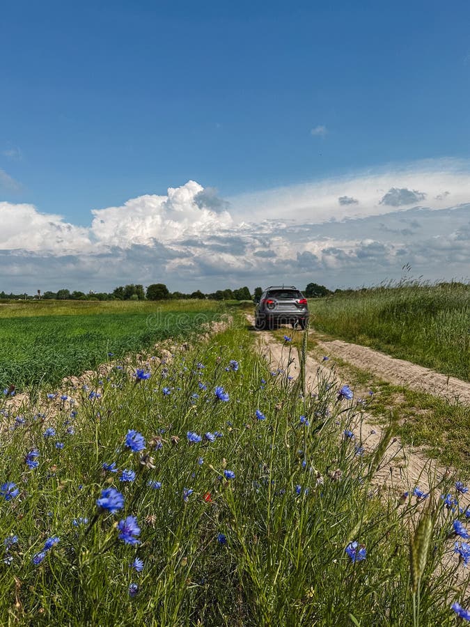 Suv Car on Trail Road in Field Stock Photo - Image of tour, horizon ...