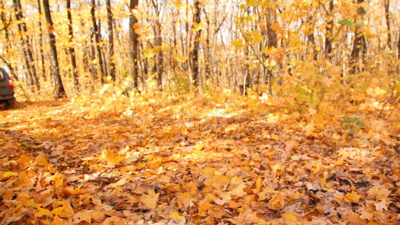 Suv Moving from Camera and Come Back Reverse Stock Footage - Video of ...