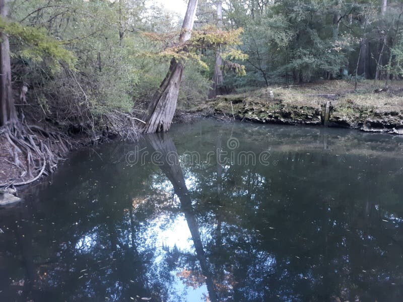 Suwannee state park stock image. Image of suwannee, spring - 165473565