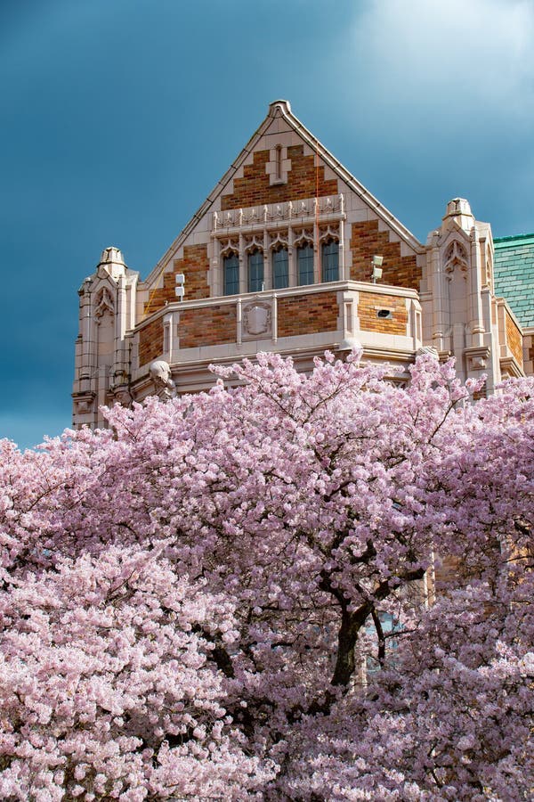Suzallo Library, University of Washington, Seattle Washington, Spring ...