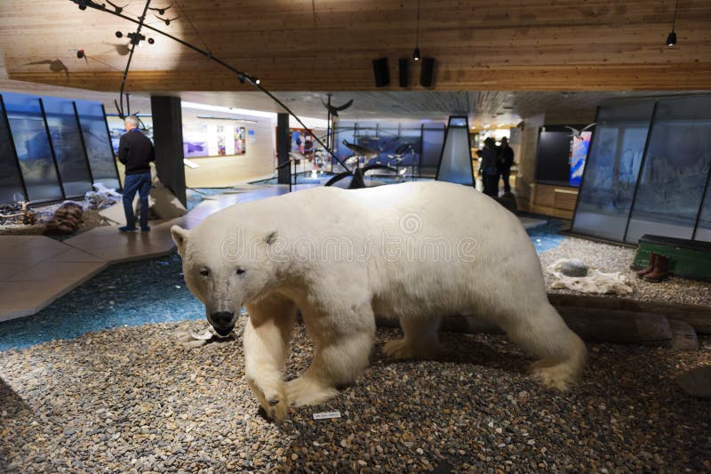 Svalbard-Museum, Longyearbyena, Svalbard, Norwegen Redaktionelles ...